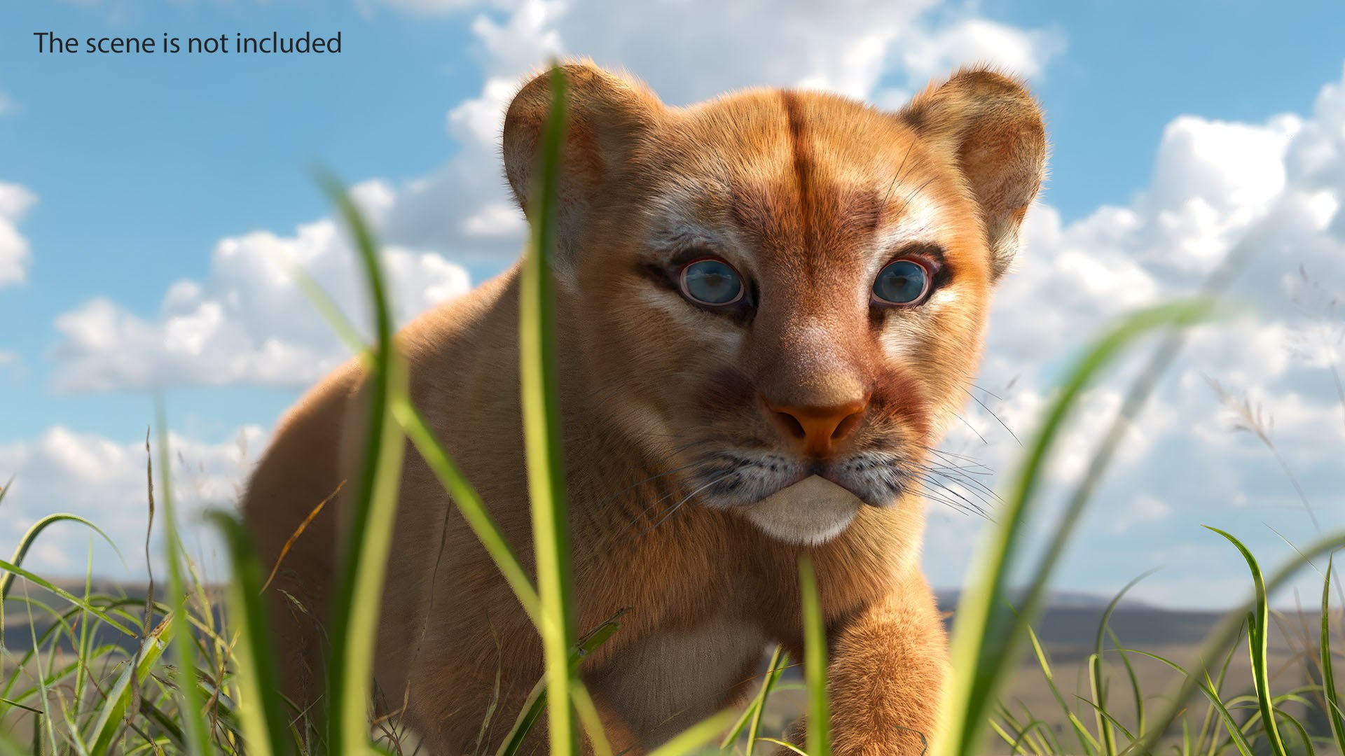 3D Puma Cub With Fur Rigged Model - TurboSquid 2351885