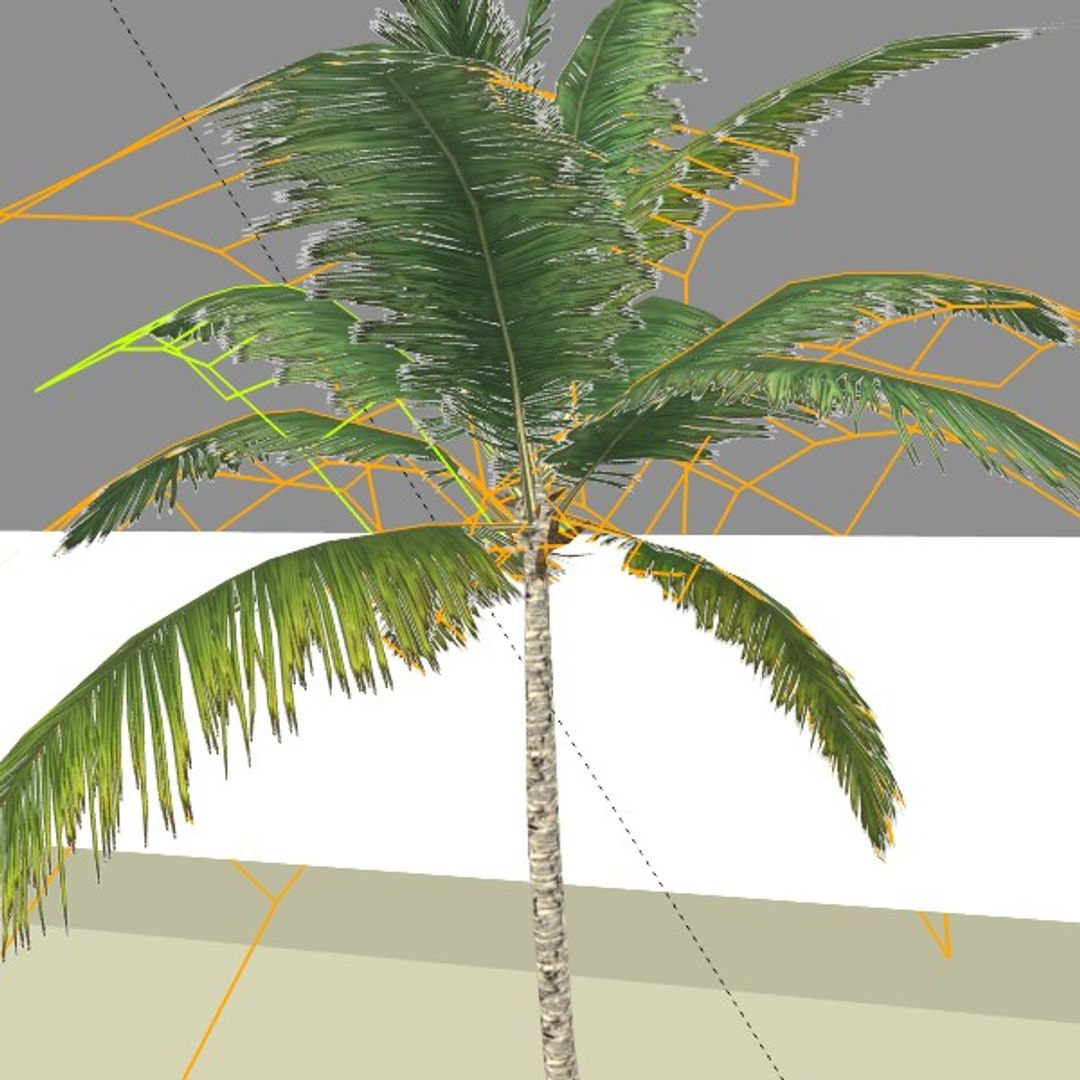 3d Palm Tree Model