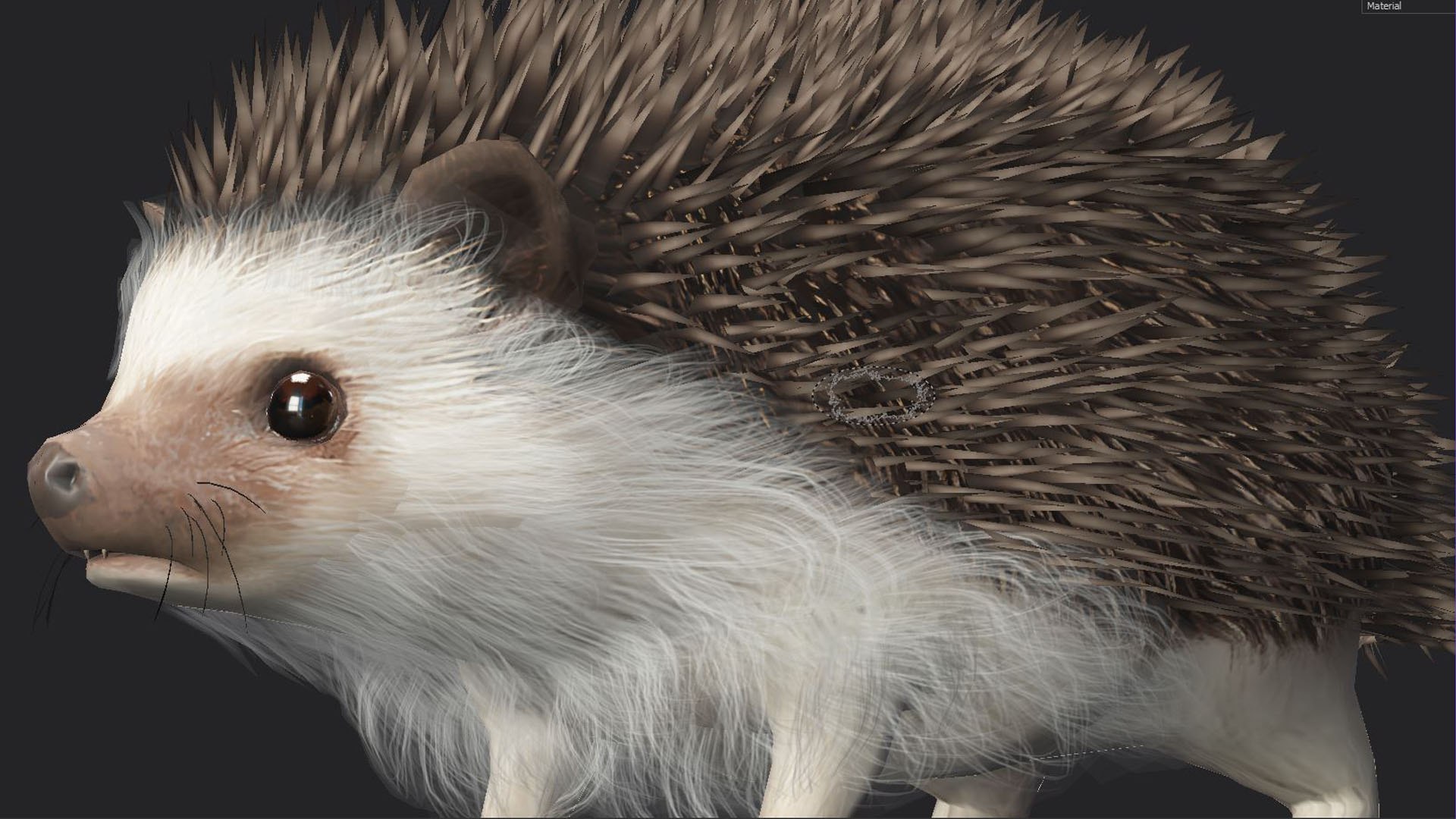 Realistic Hedgehog 3D Model Low Poly Rigged Low-poly 3D Model Model ...