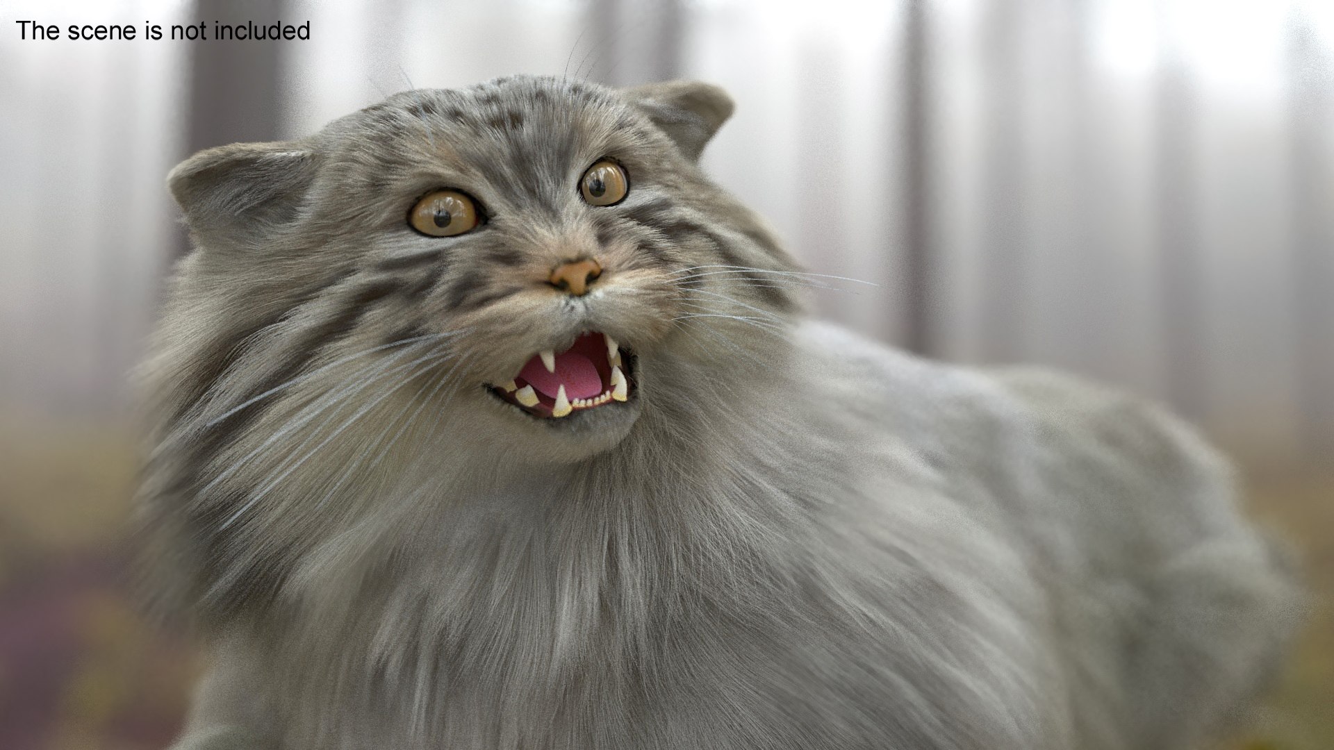 Pallas Cat With Fur Animated 3D Model - TurboSquid 2269803