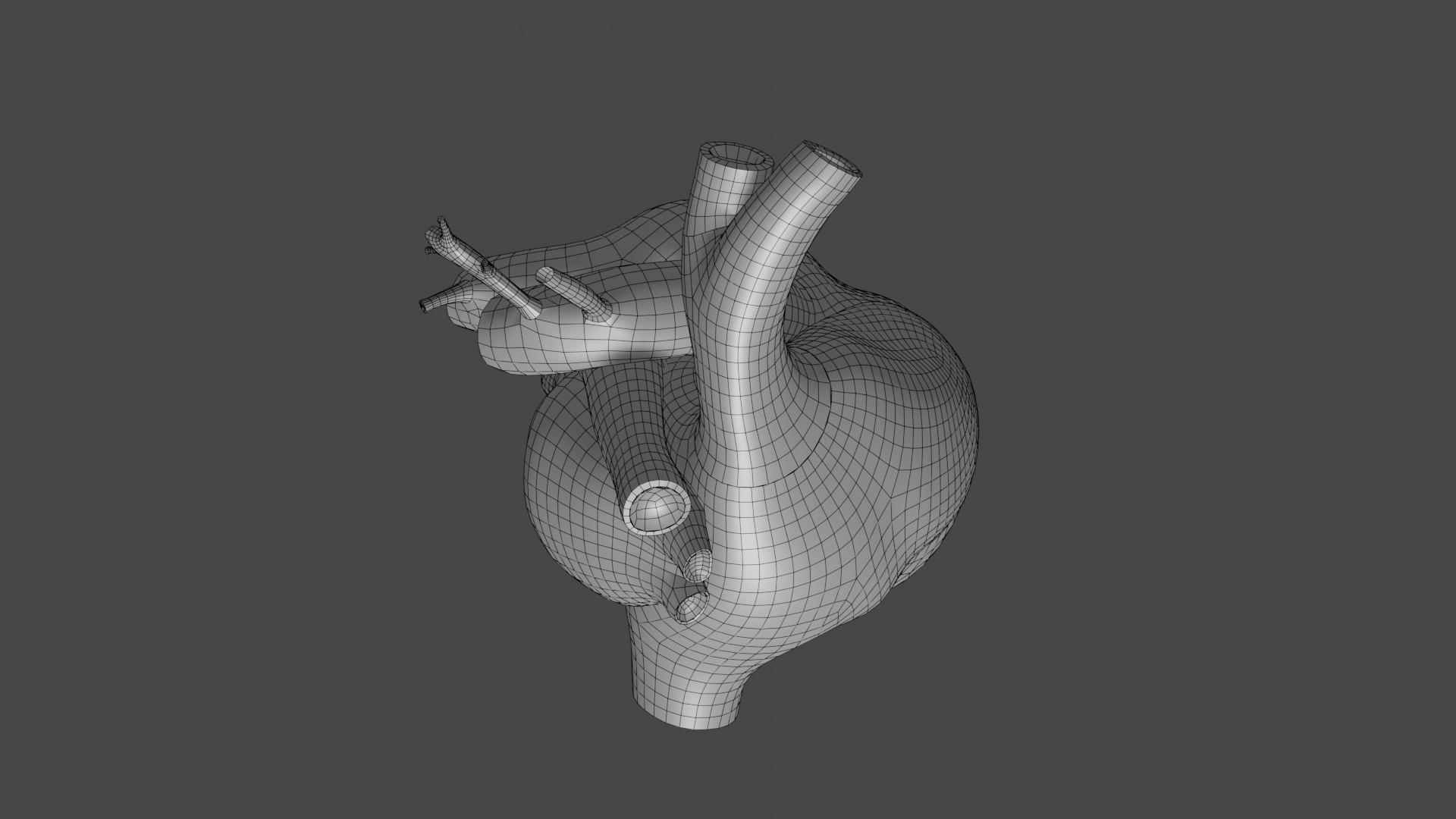 Anatomical model of the human heart 3D model - TurboSquid 2038660