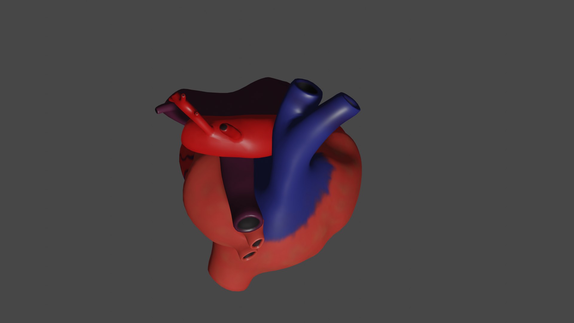 Anatomical model of the human heart 3D model - TurboSquid 2038660
