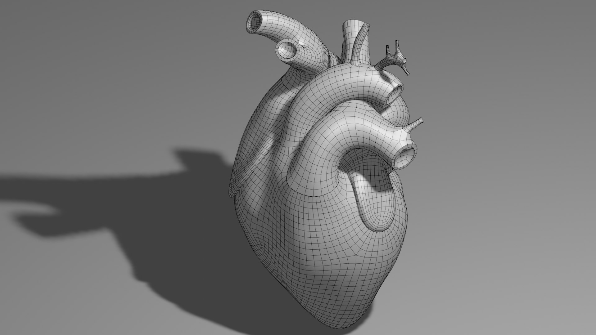 Anatomical model of the human heart 3D model - TurboSquid 2038660