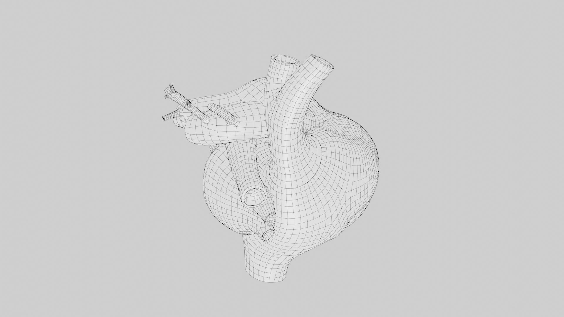 Anatomical model of the human heart 3D model - TurboSquid 2038660