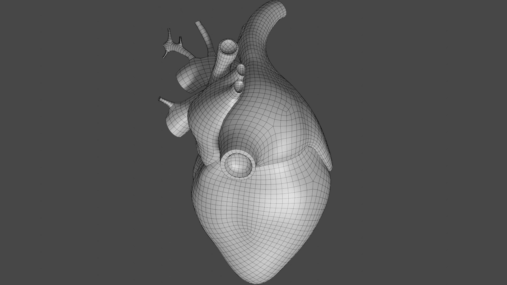 Anatomical Model Of The Human Heart 3D Model - TurboSquid 2038660