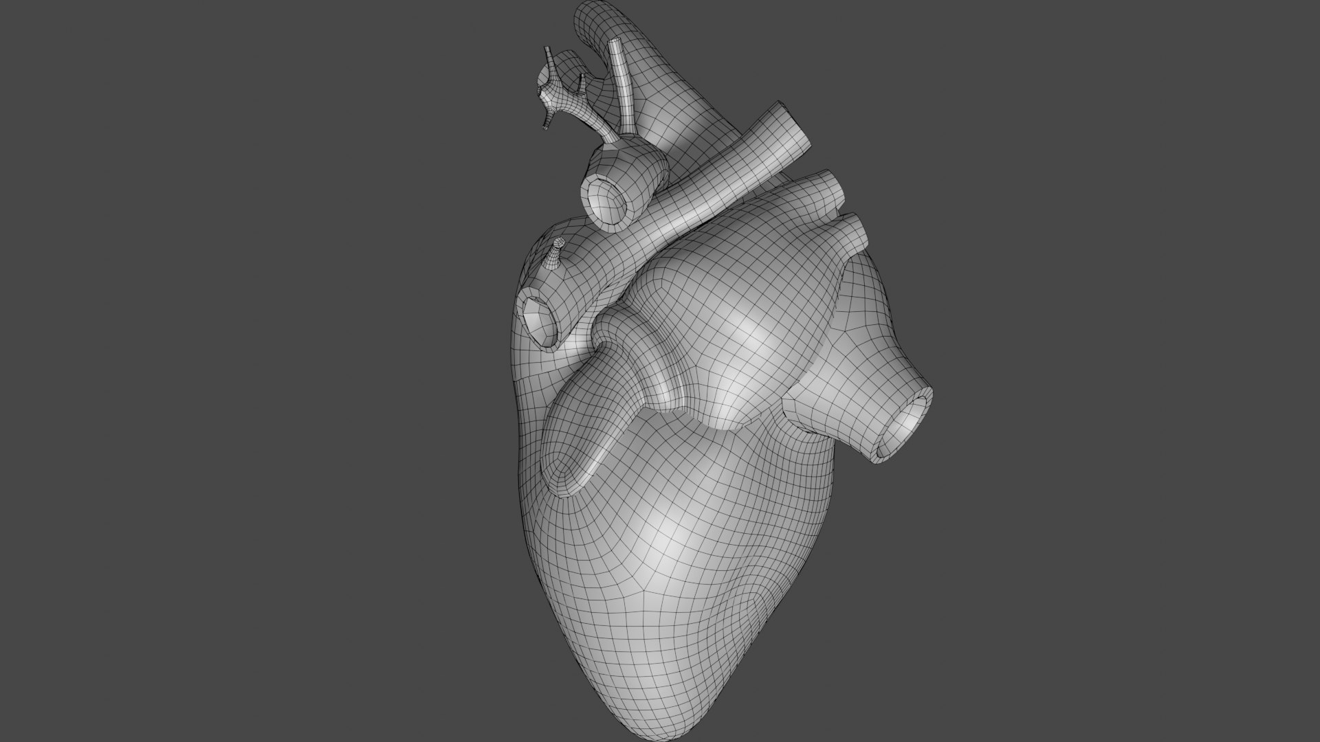 Anatomical model of the human heart 3D model - TurboSquid 2038660