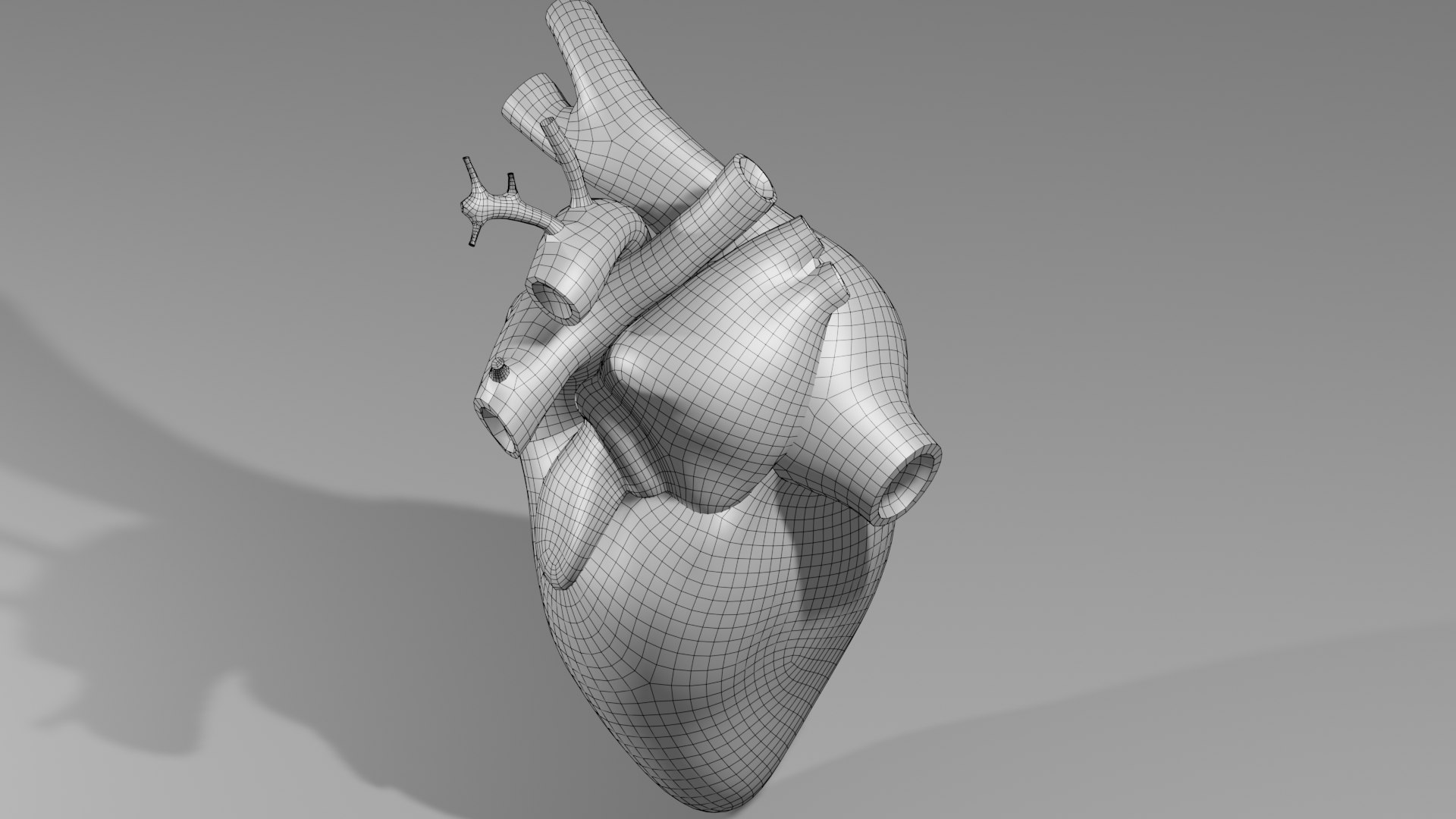 Anatomical Model Of The Human Heart 3D Model - TurboSquid 2038660