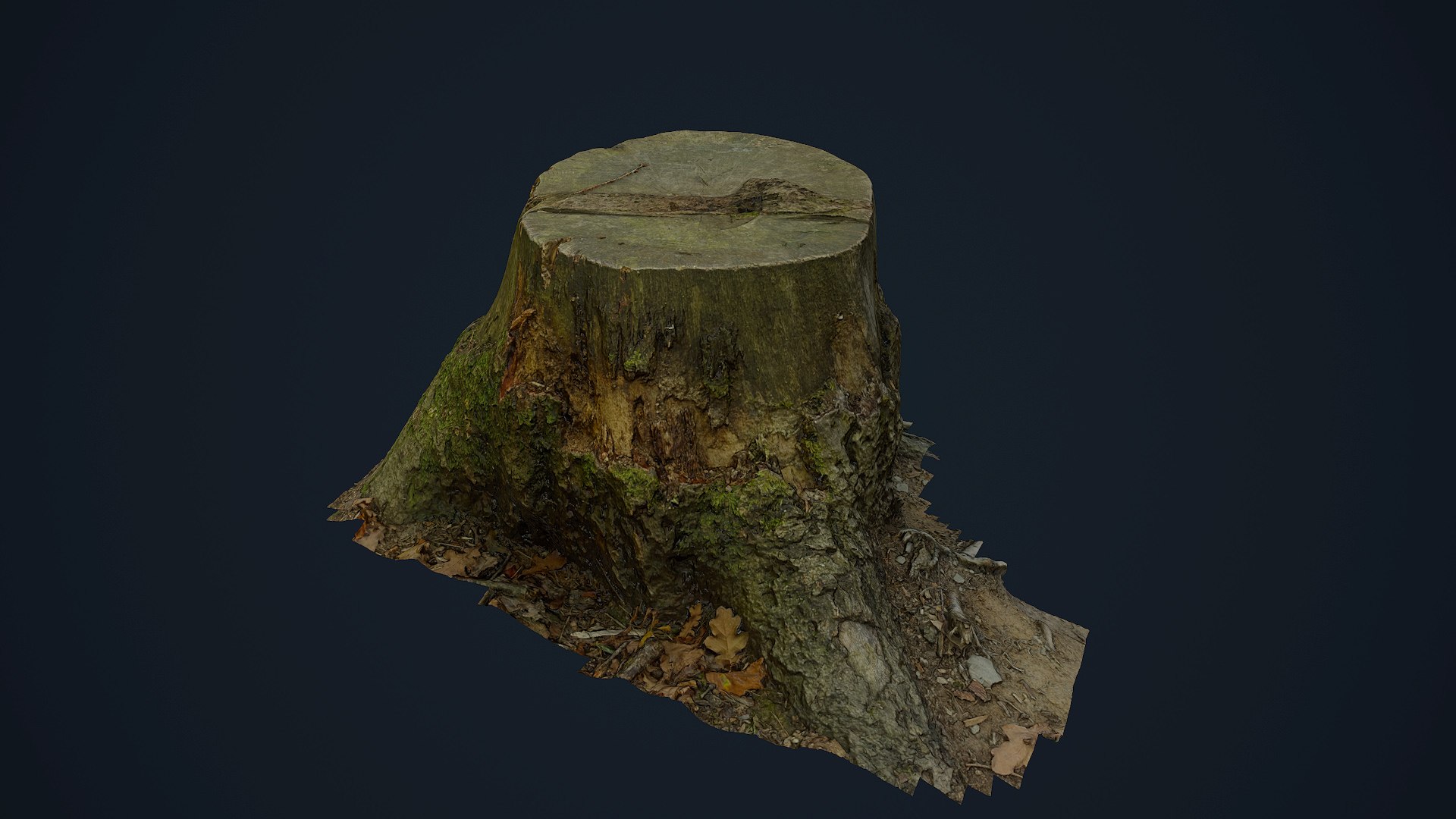 3D model treestump scan - TurboSquid 1411848