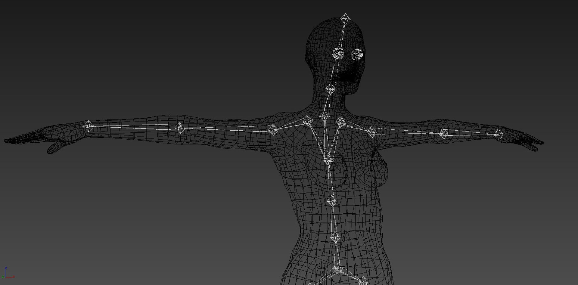 Character Unity 3D Model - TurboSquid 1271991