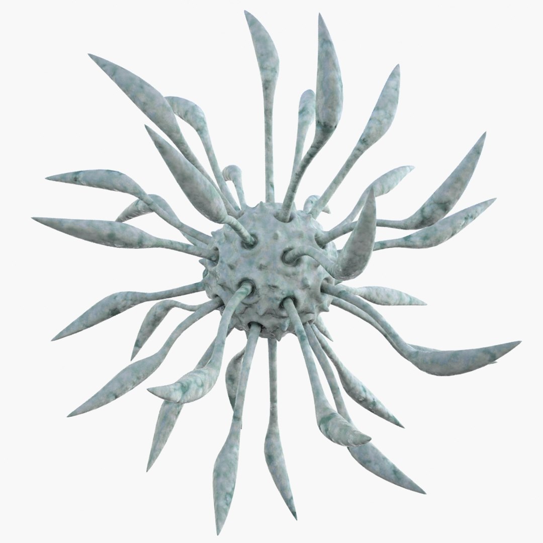 3d micro object mht model