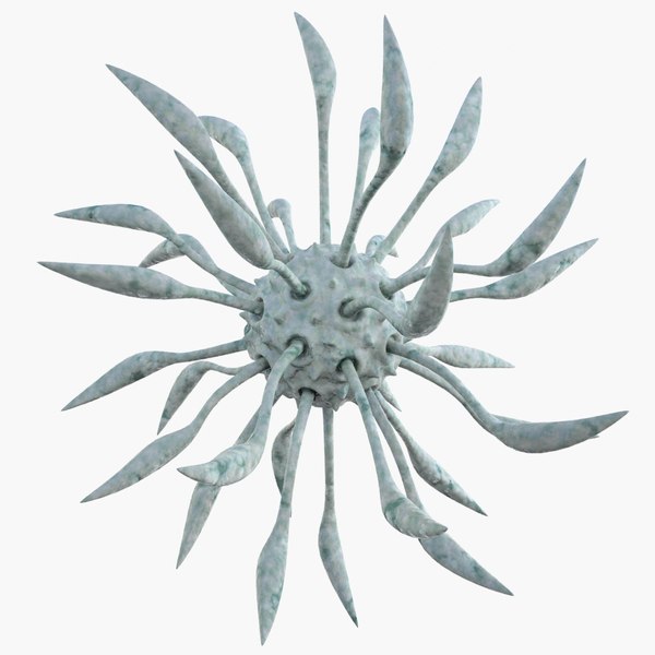 max micro object mht