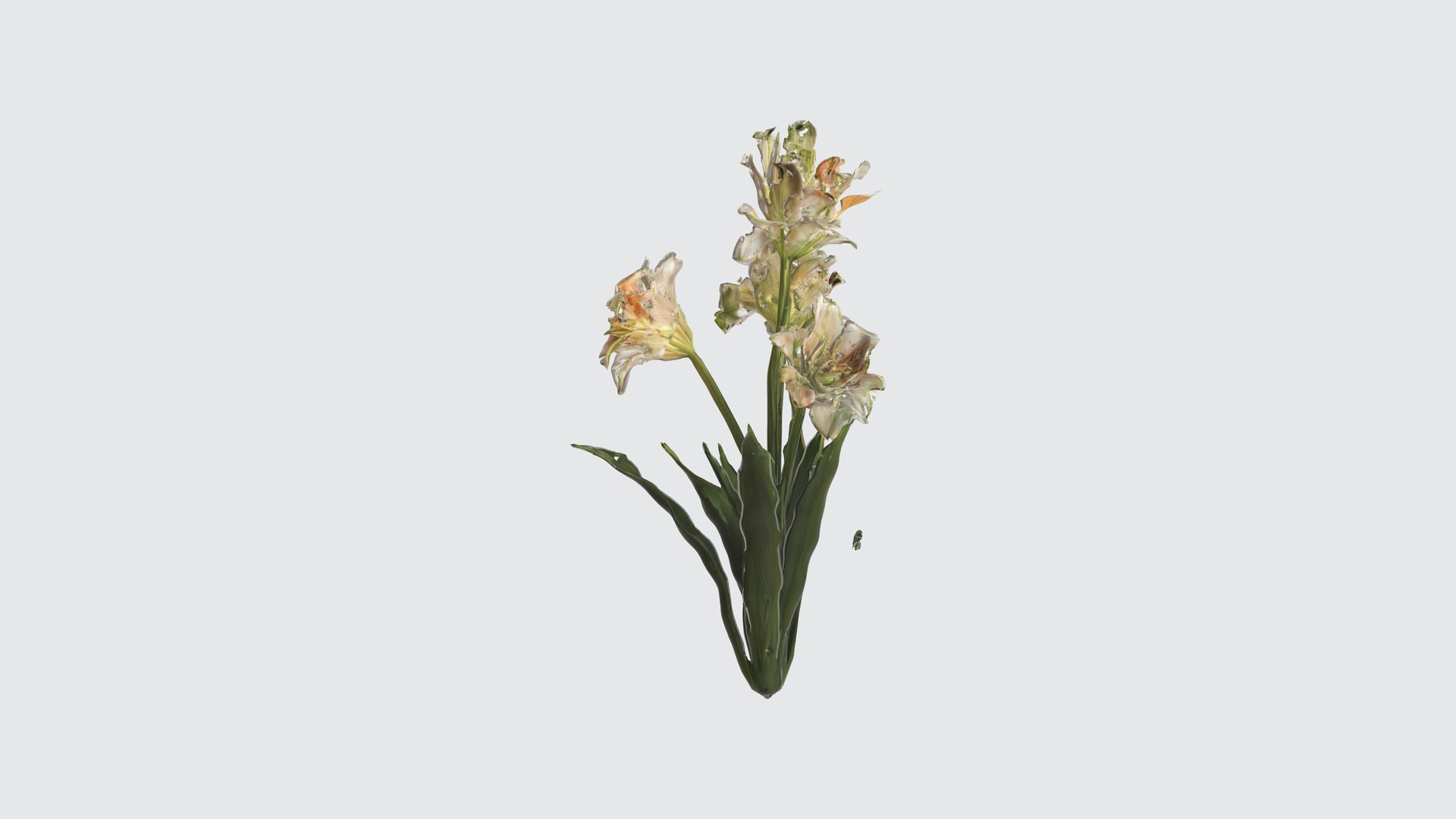 3D Model Lilium Flowers - TurboSquid 2281602