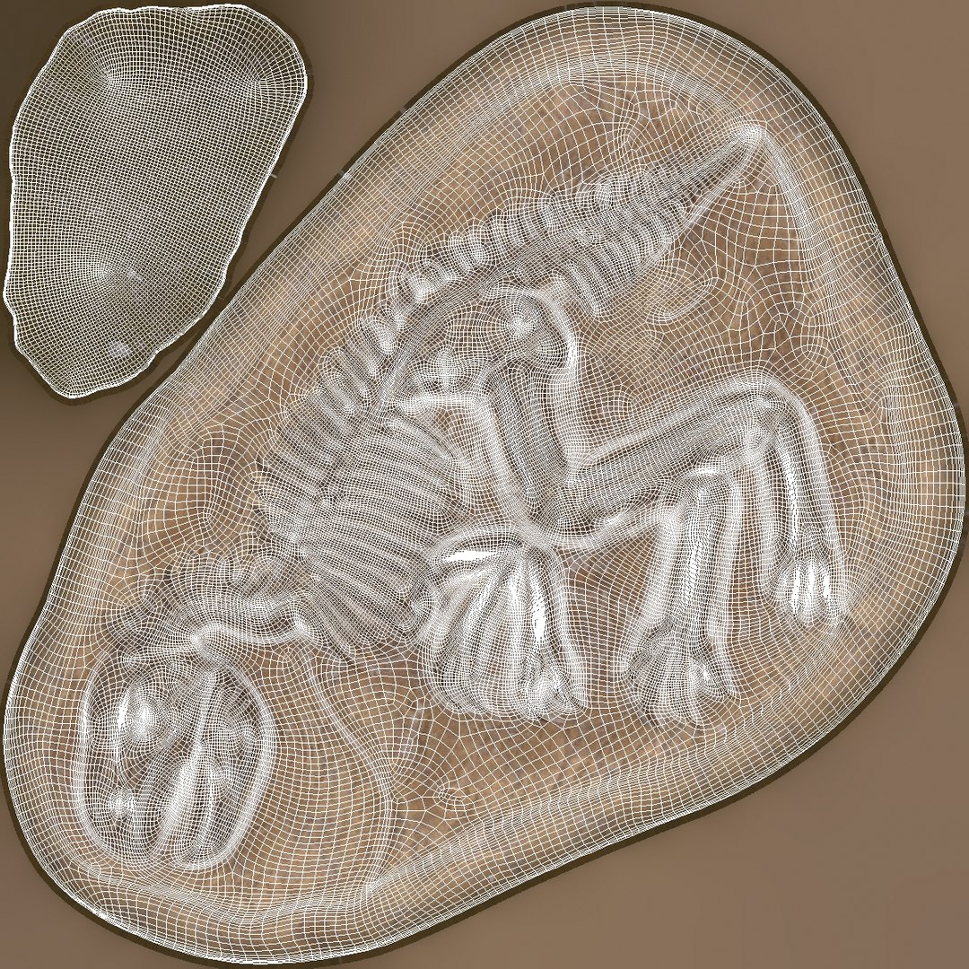 3D Model Dinosaur Fossil 009 Textured - TurboSquid 2298816