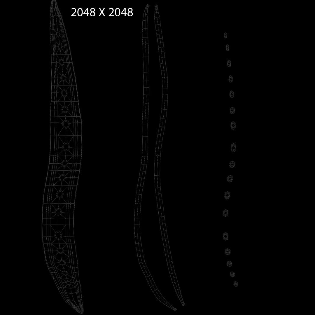 3d Xylem Tissue Plants