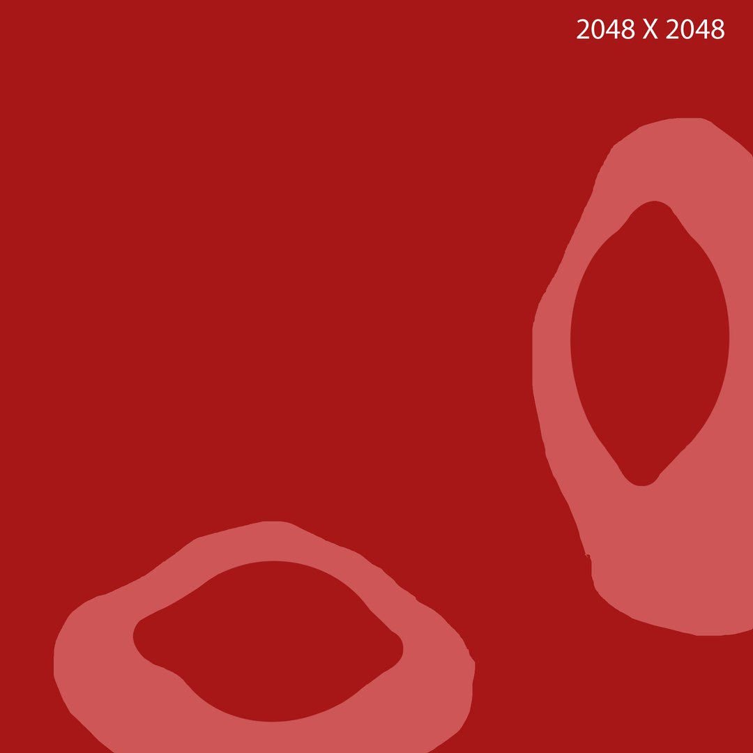 3d Xylem Tissue Plants