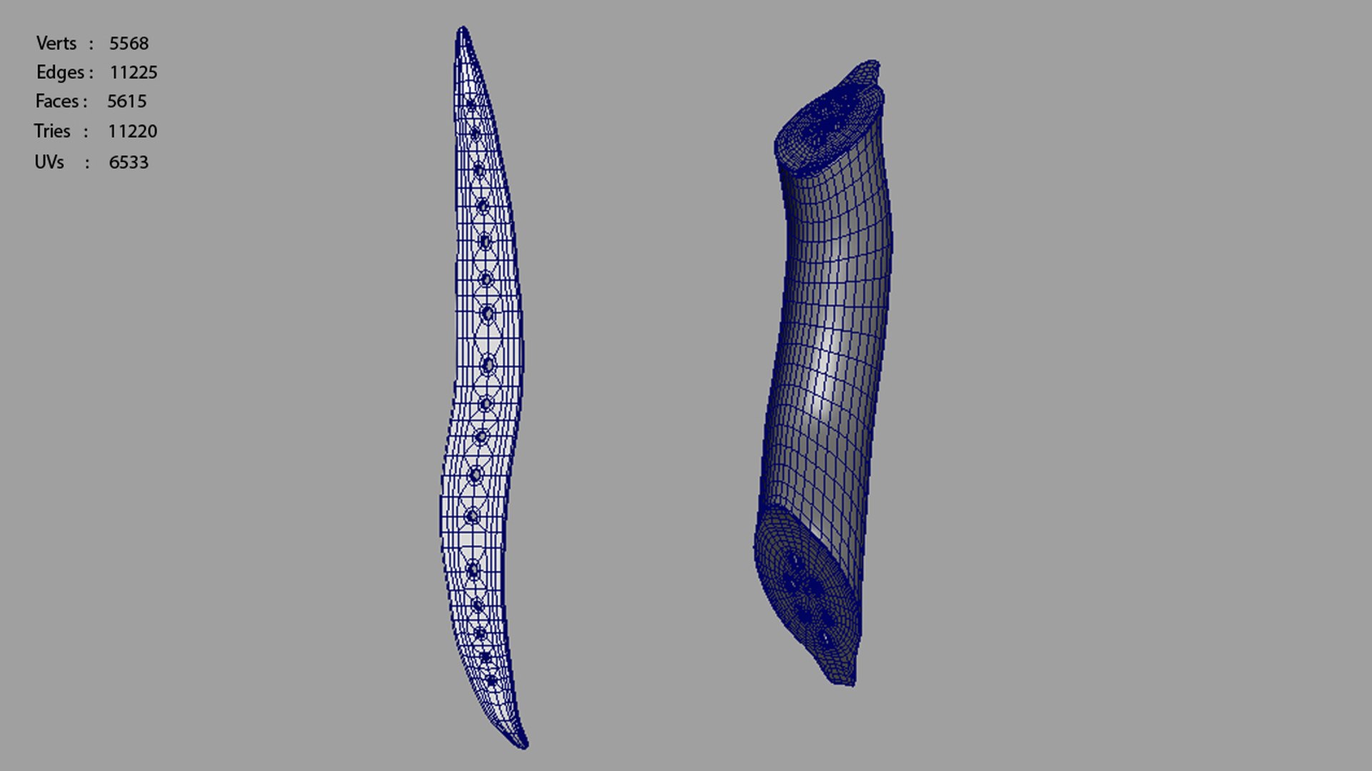 3d Xylem Tissue Plants