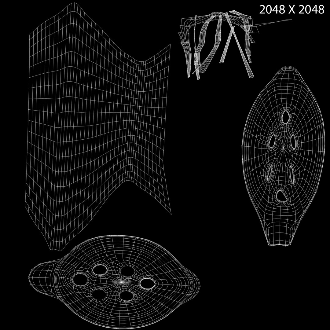 3d Xylem Tissue Plants