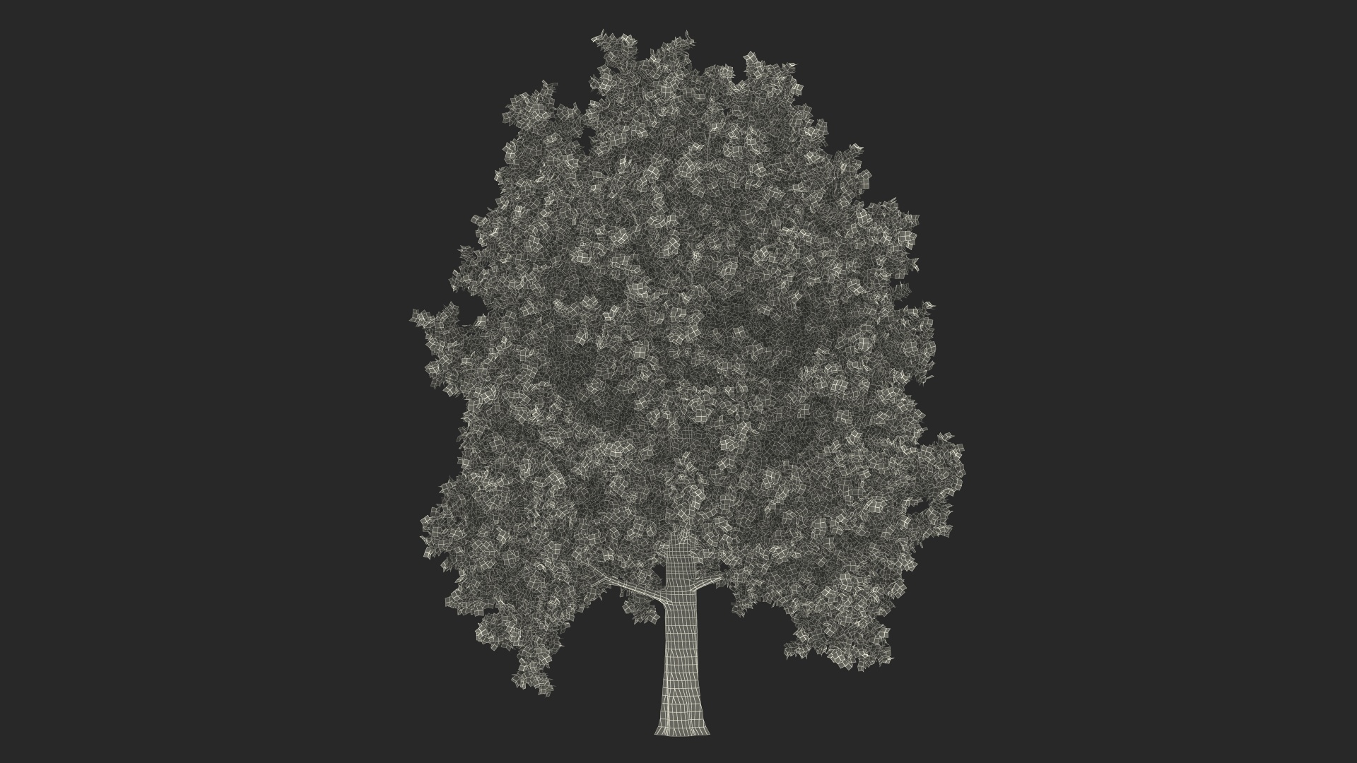 Autumn Oak Tree 3D Model - TurboSquid 2228926