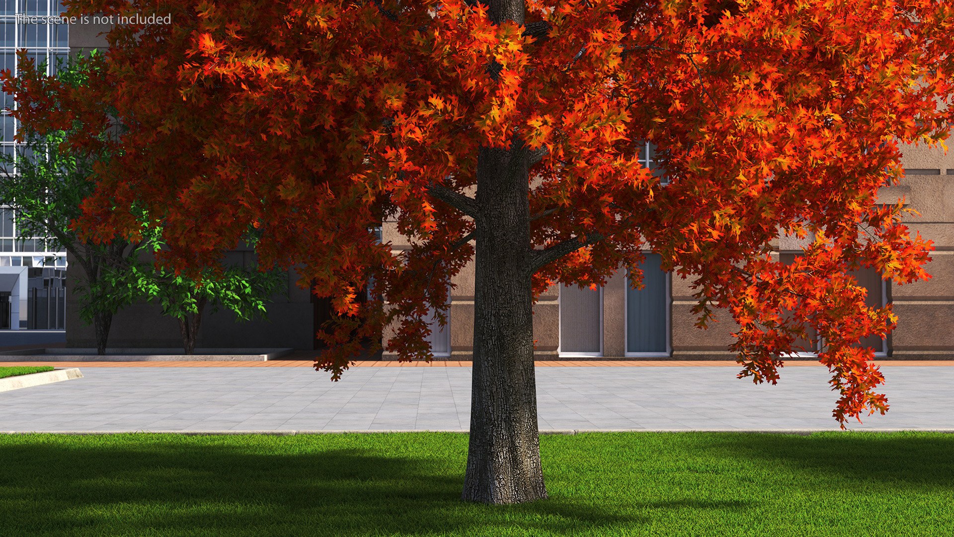 Autumn Oak Tree 3D Model - TurboSquid 2228926