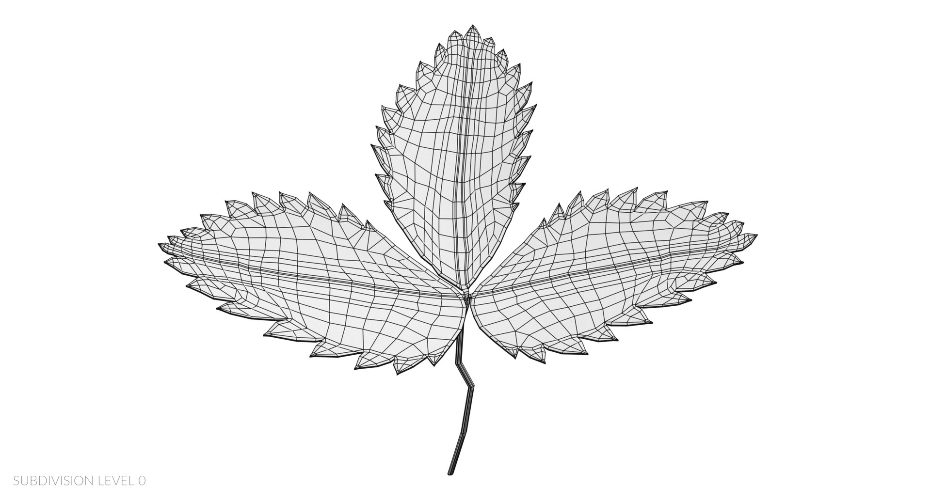 3D Strawberry Leaf Model - TurboSquid 1300925