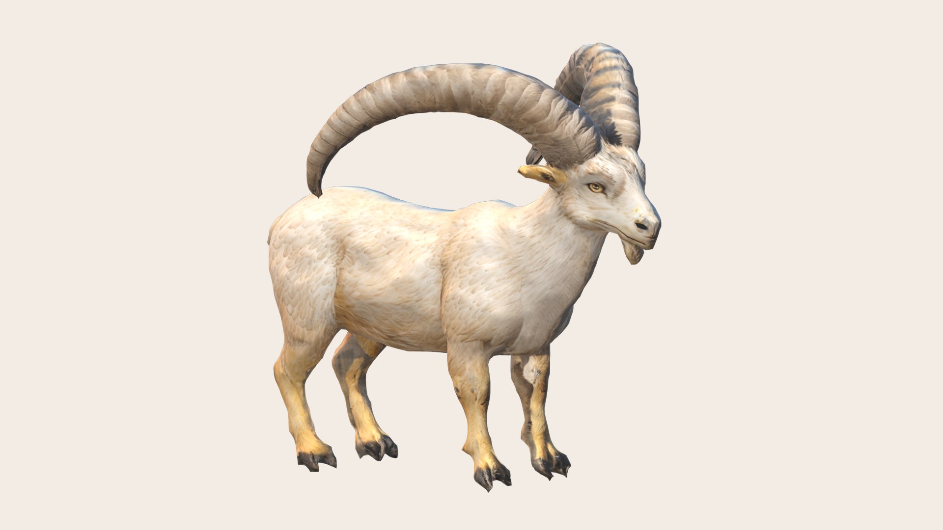 3D Alpine Ibex - TurboSquid 2262825