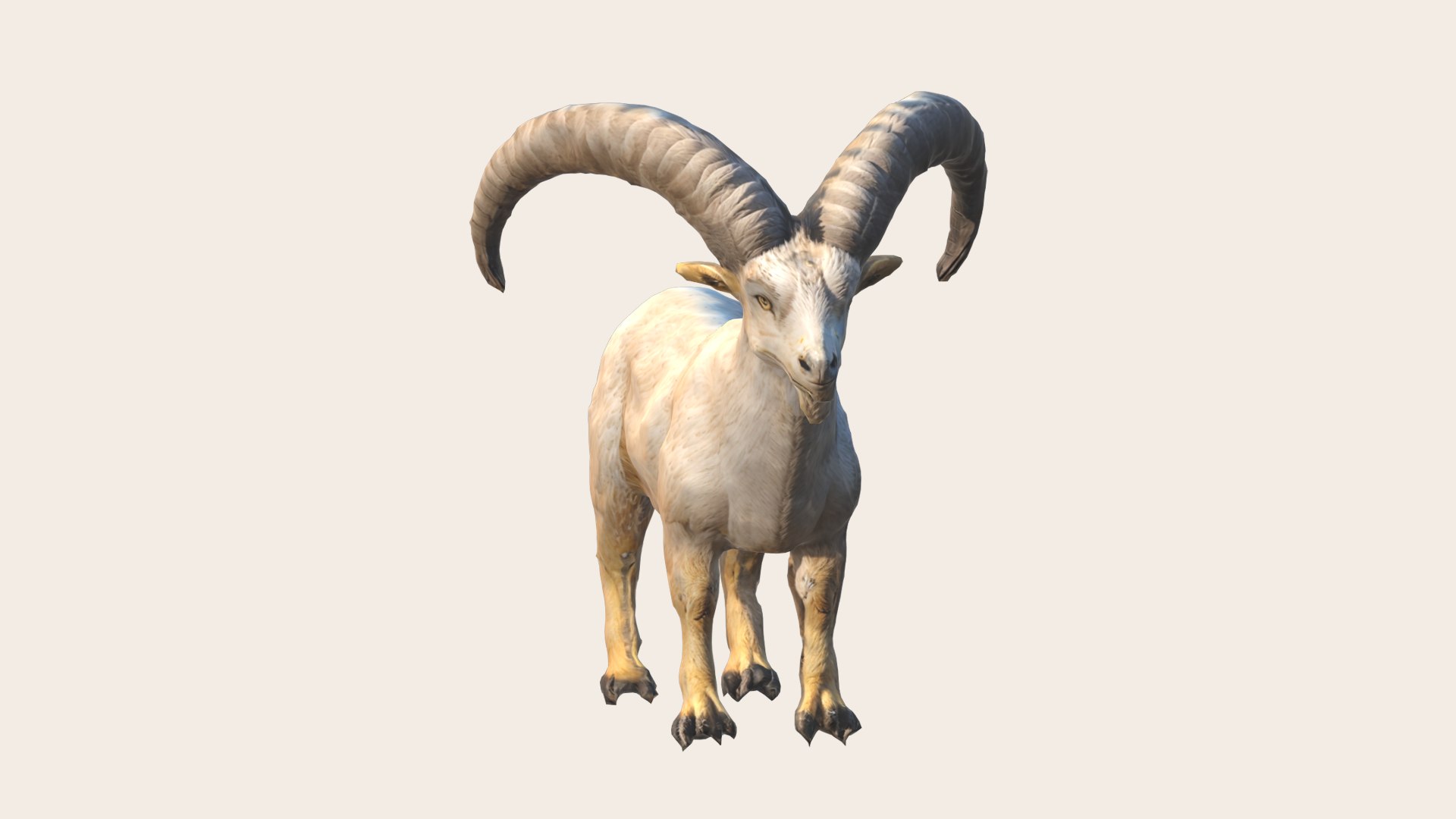 3D Alpine Ibex - TurboSquid 2262825