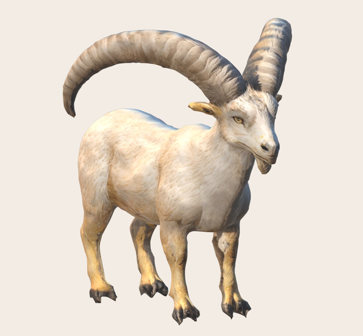 3D Alpine Ibex - TurboSquid 2262825