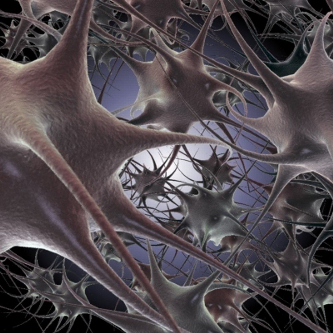 3dsmax Neural Network