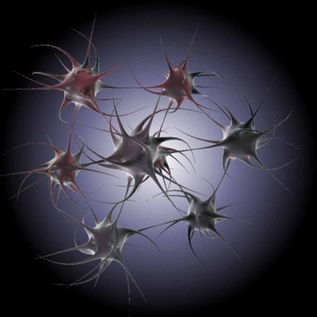 3dsmax Neural Network