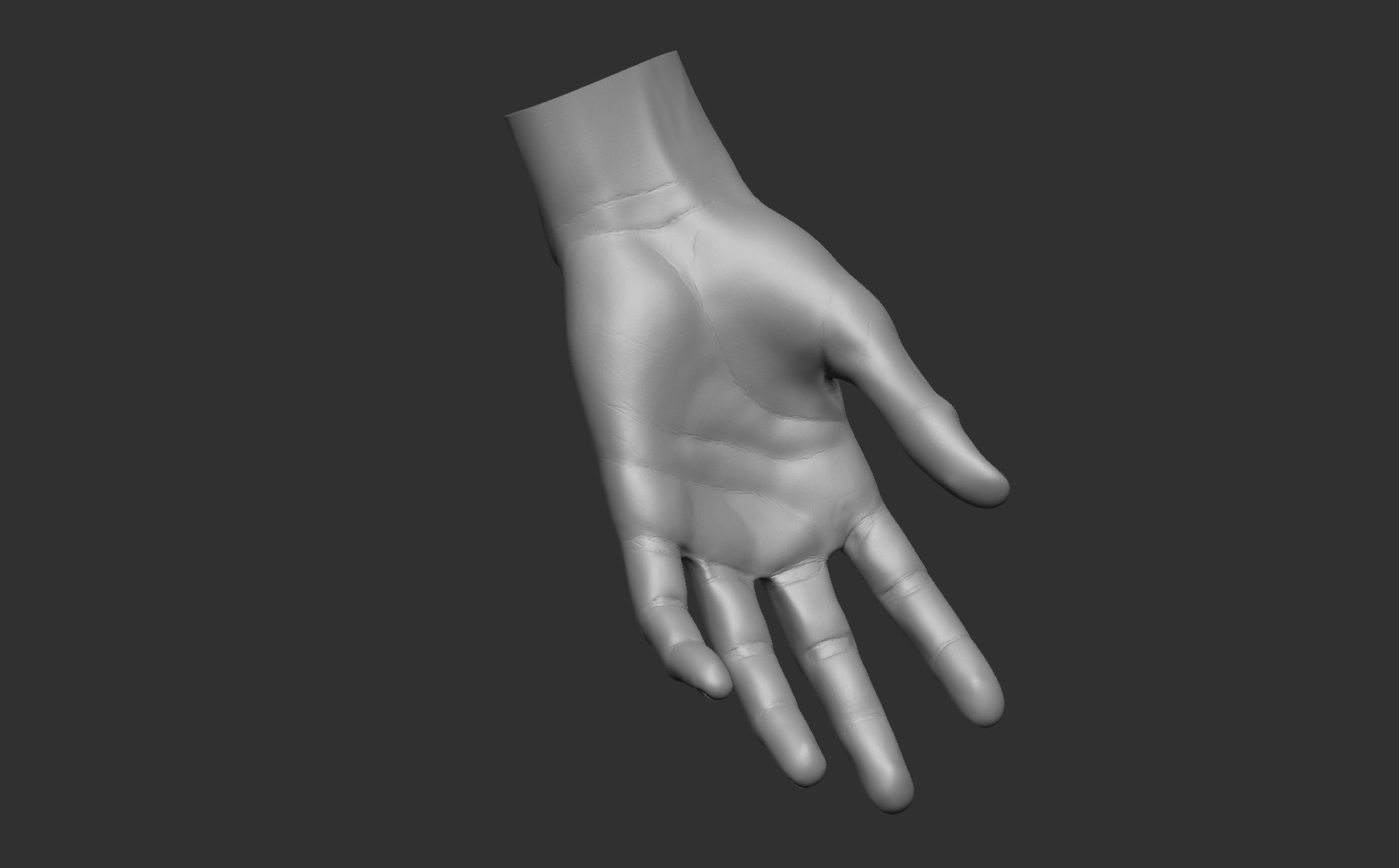 Hand 3D model - TurboSquid 2146850