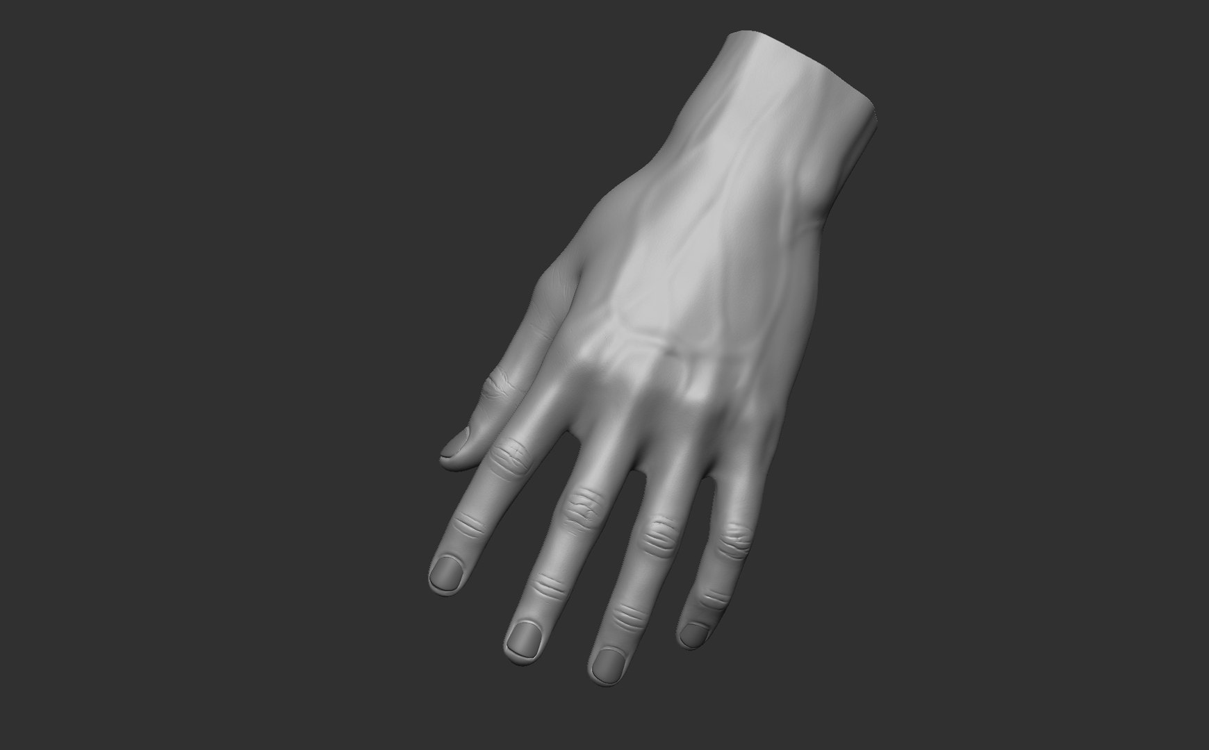 Hand 3D model - TurboSquid 2146850