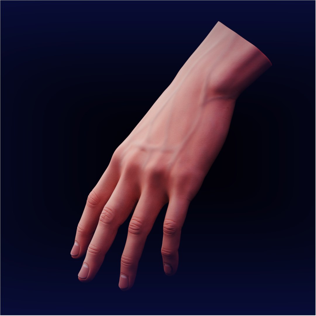 Hand 3D model - TurboSquid 2146850