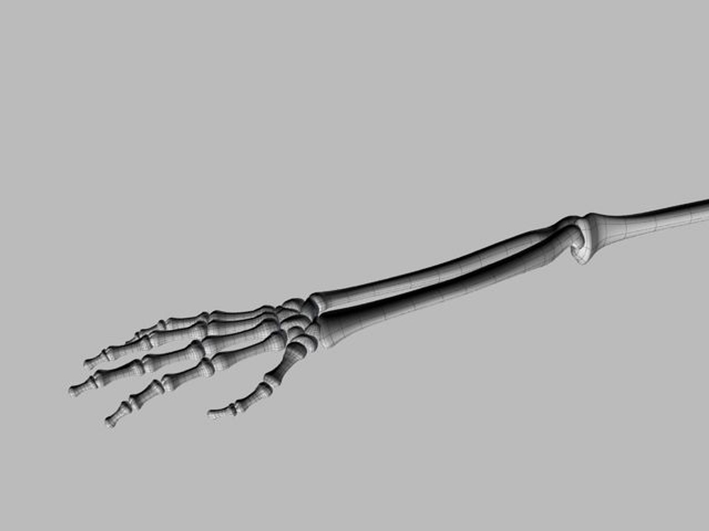 Maya Human Skeleton Base