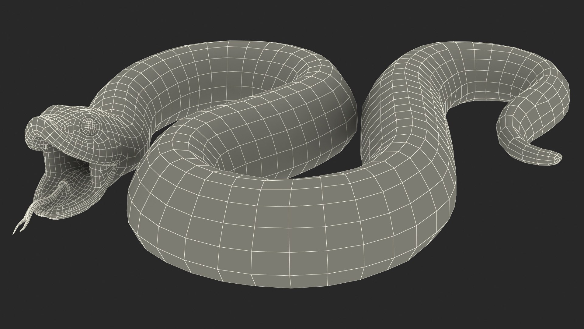 3D Brown Hognose Snake Rigged Model - TurboSquid 1501045