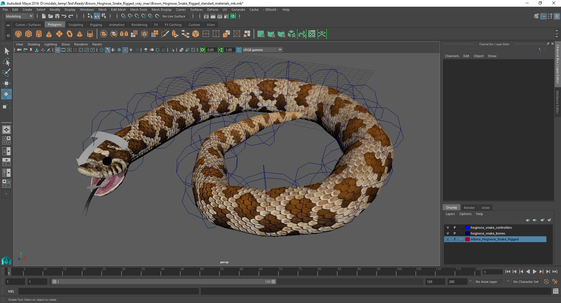 3D Brown Hognose Snake Rigged Model - TurboSquid 1501045