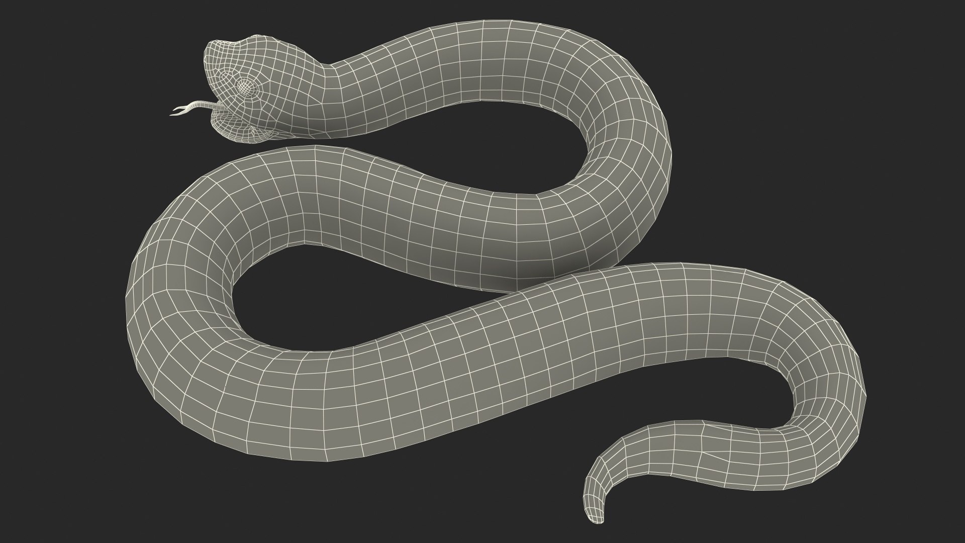 3D Brown Hognose Snake Rigged Model - TurboSquid 1501045