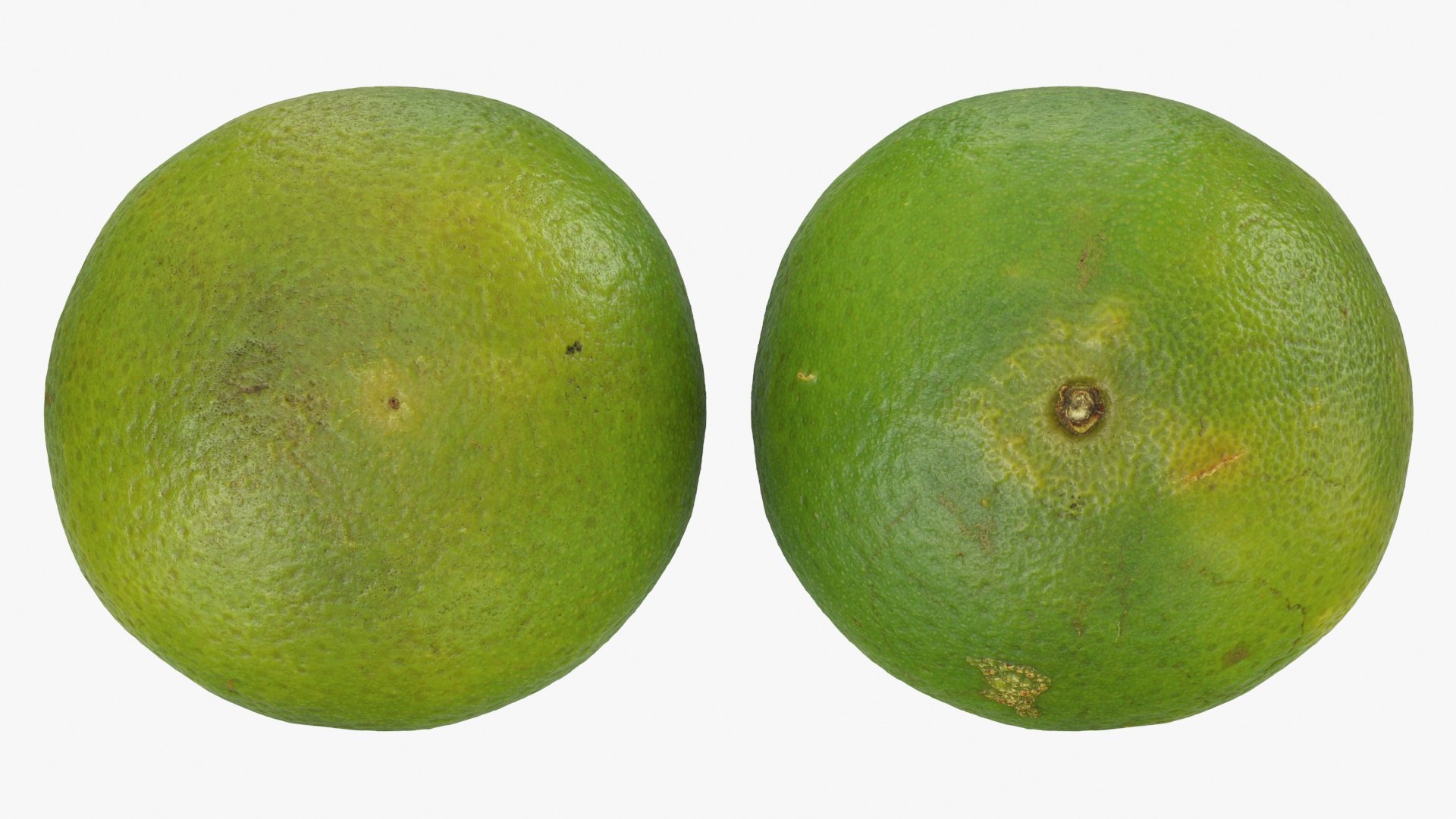 Green Mandarin Collection Model - TurboSquid 2252784