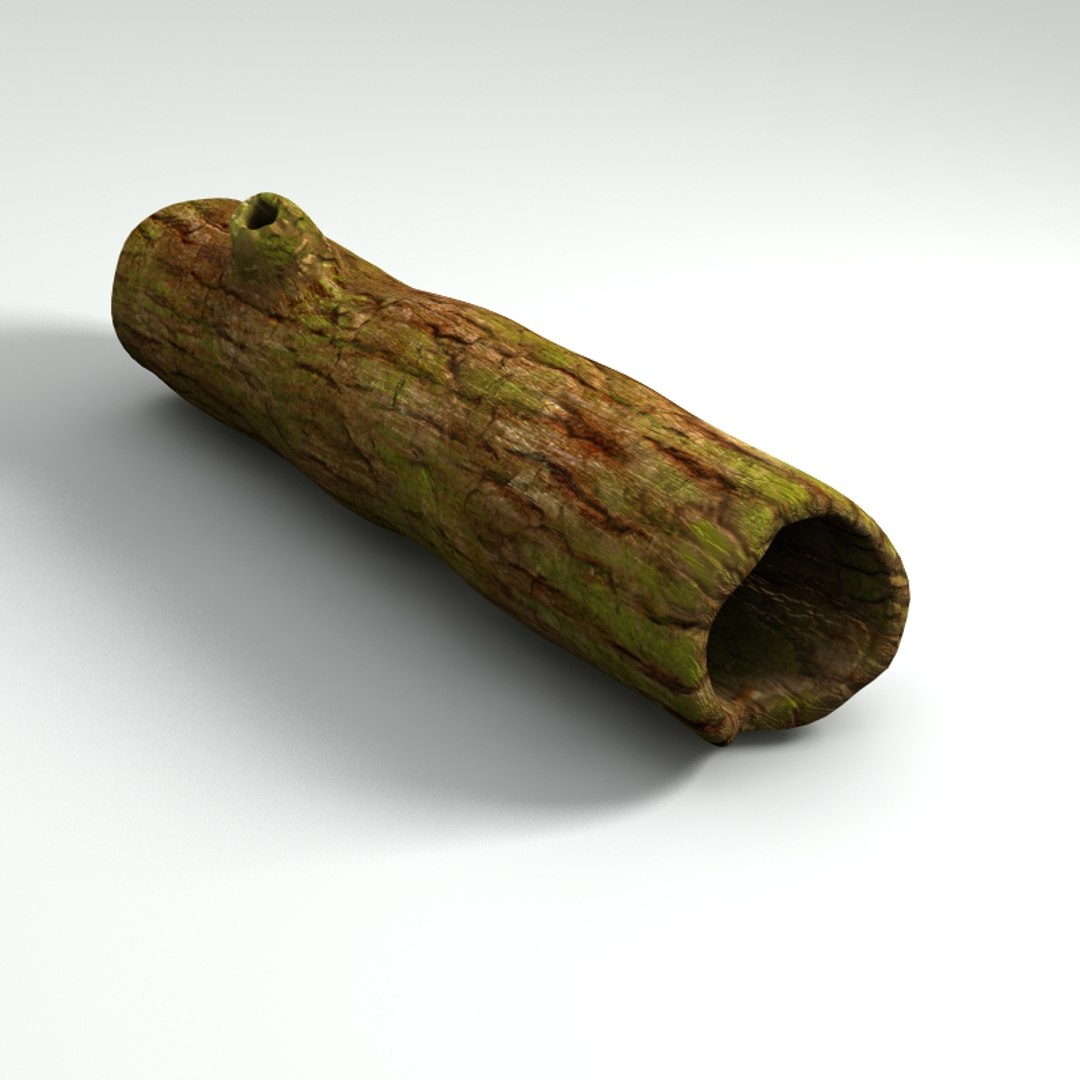 3d Max Hollow Tree Trunk