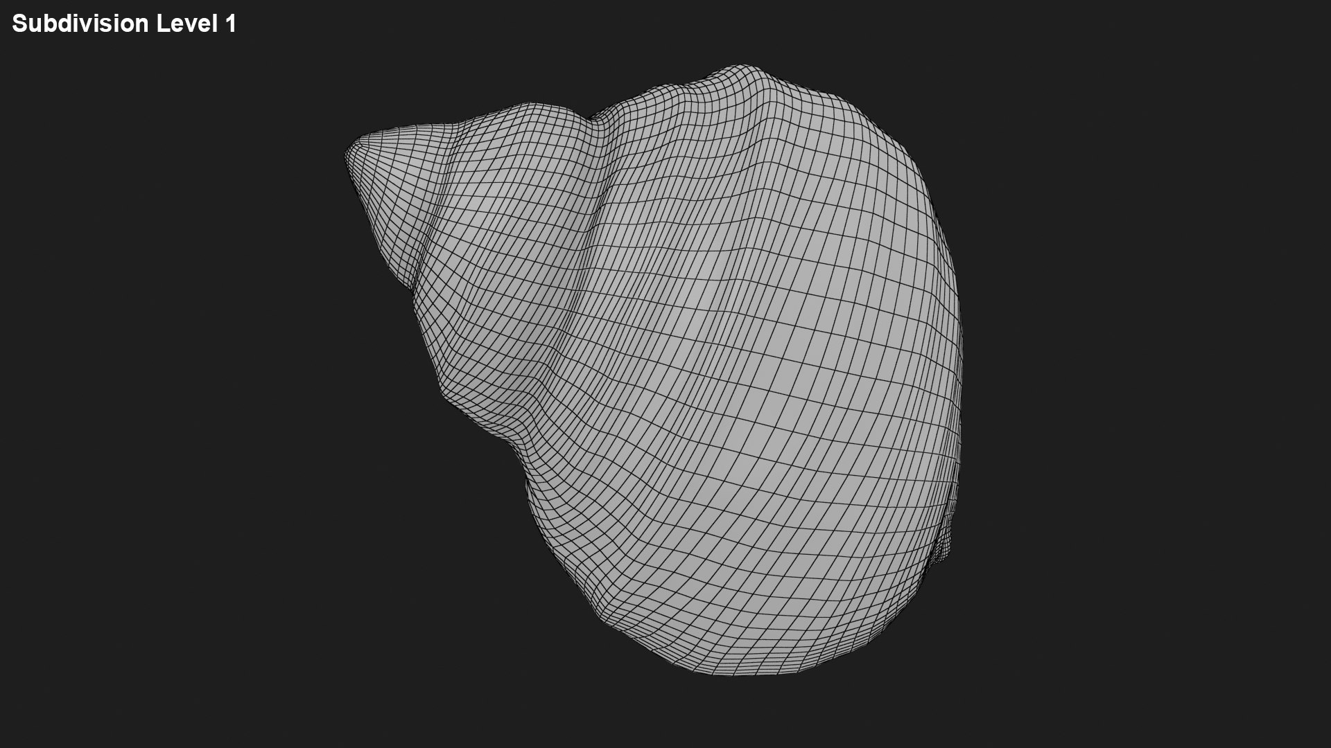 Sea Shell Seashell Model - TurboSquid 1704281