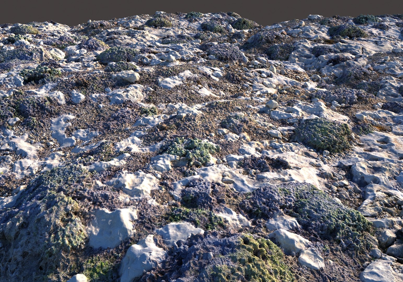 3D Desert Terrain Scan 16K - TurboSquid 1836244