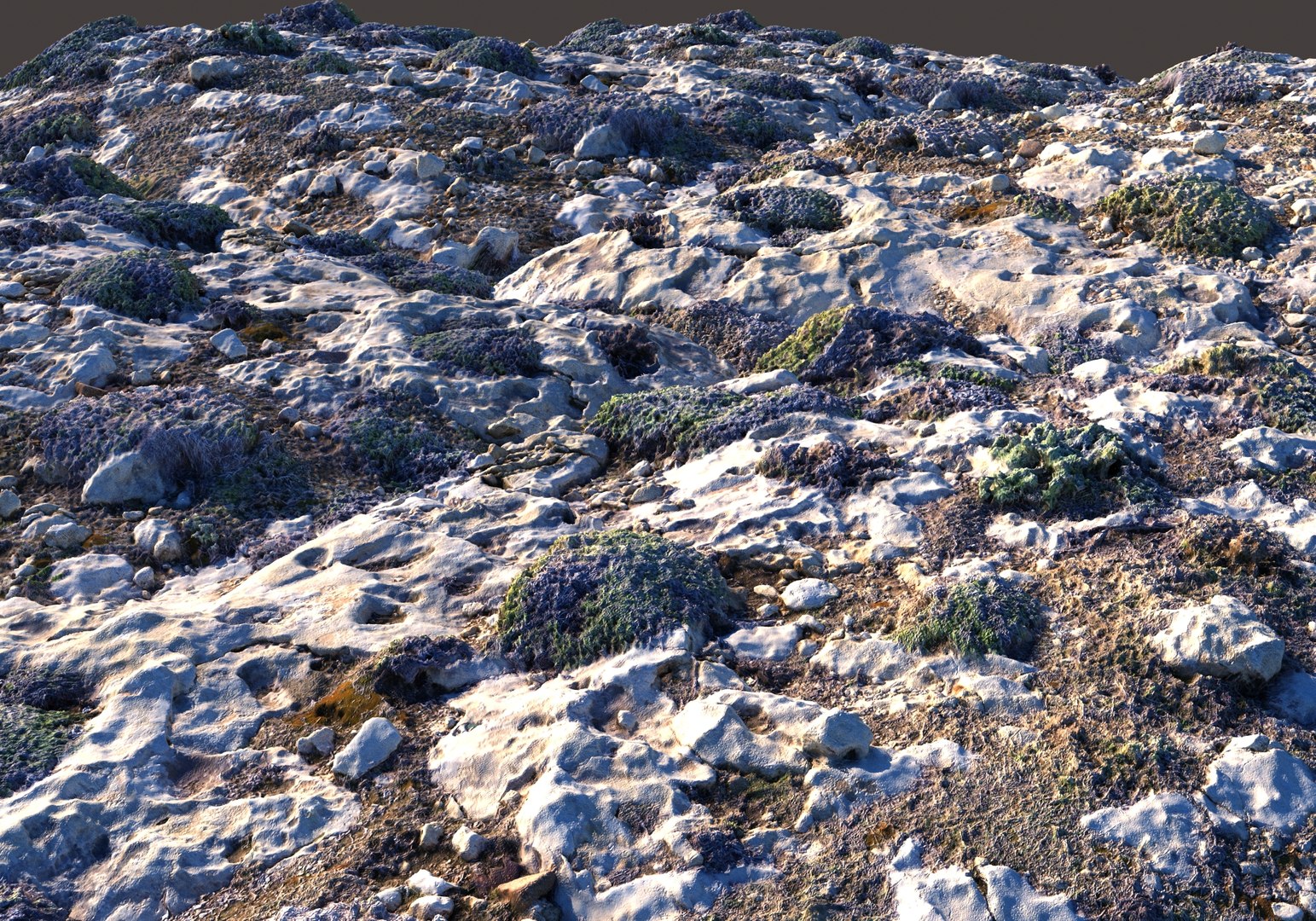 3D Desert Terrain Scan 16K - TurboSquid 1836244