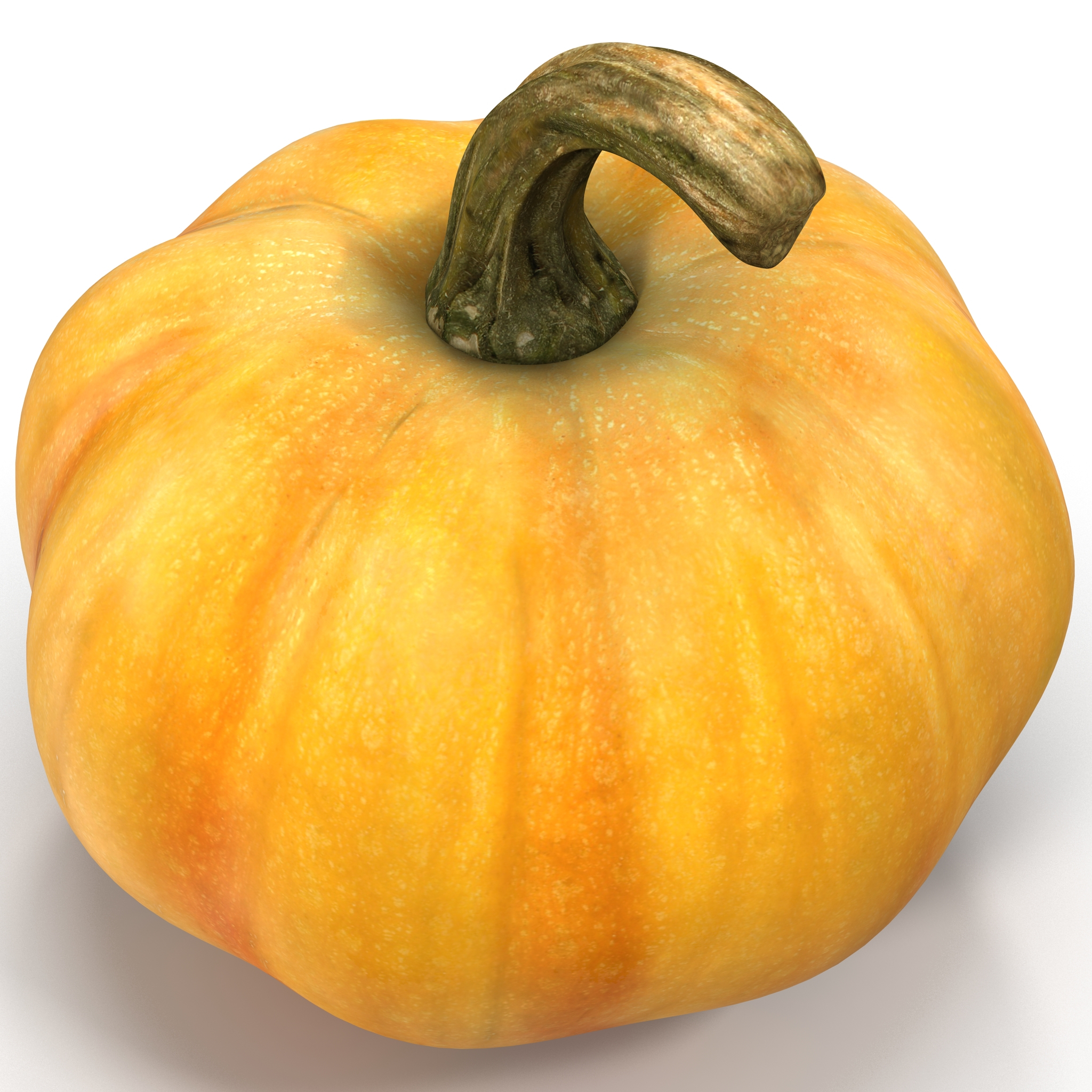 3d pumpkin 02 model