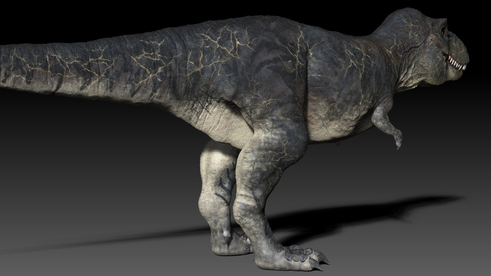 Tyrannosaurus Rex Sue Sculpt Project 3D - TurboSquid 1924818