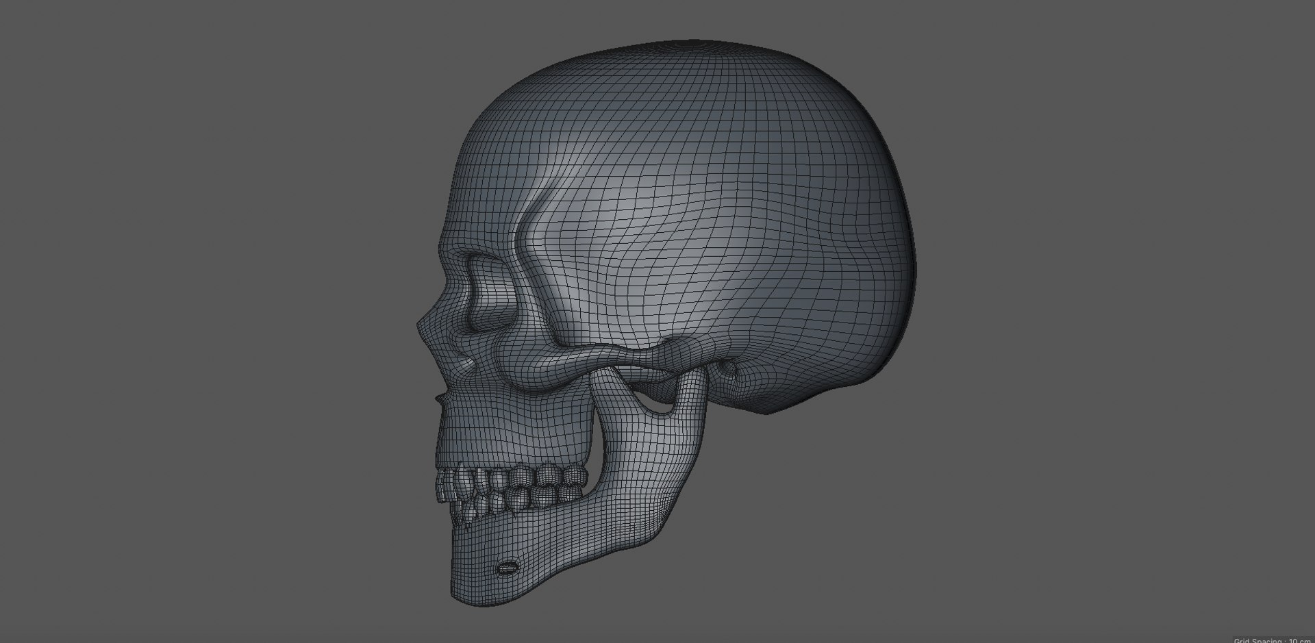 Wood human skull l748 3D model - TurboSquid 1571198