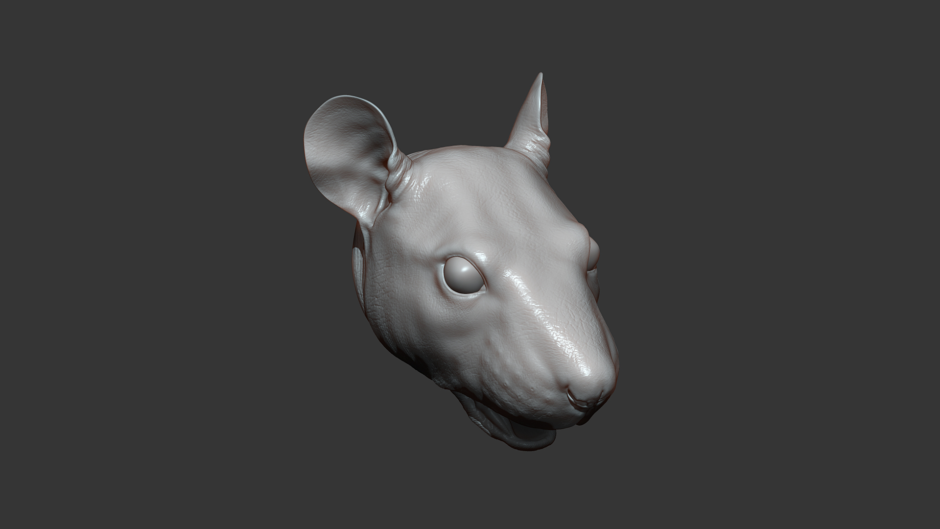 Rattenkopf Highpoly Sculpt 3D-Modell - TurboSquid 1809933