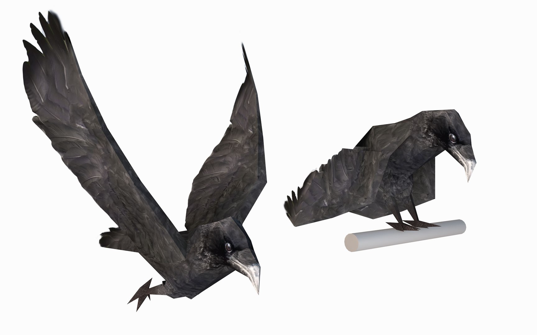 Crow Animations Model - TurboSquid 1653282