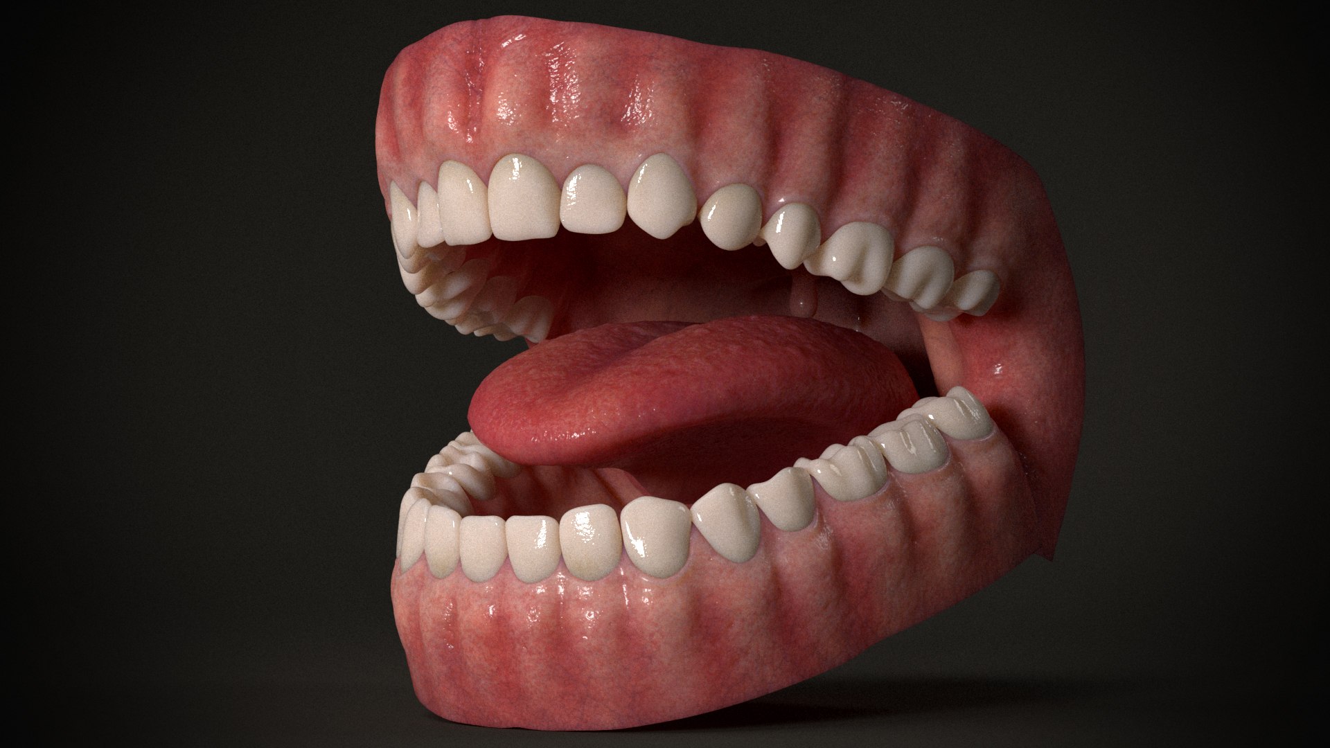 3D Human Mouth Teeth Anatomy Model - TurboSquid 2300912