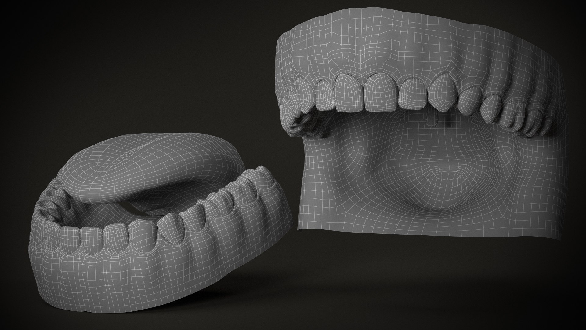 3D Human Mouth Teeth Anatomy Model - TurboSquid 2300912