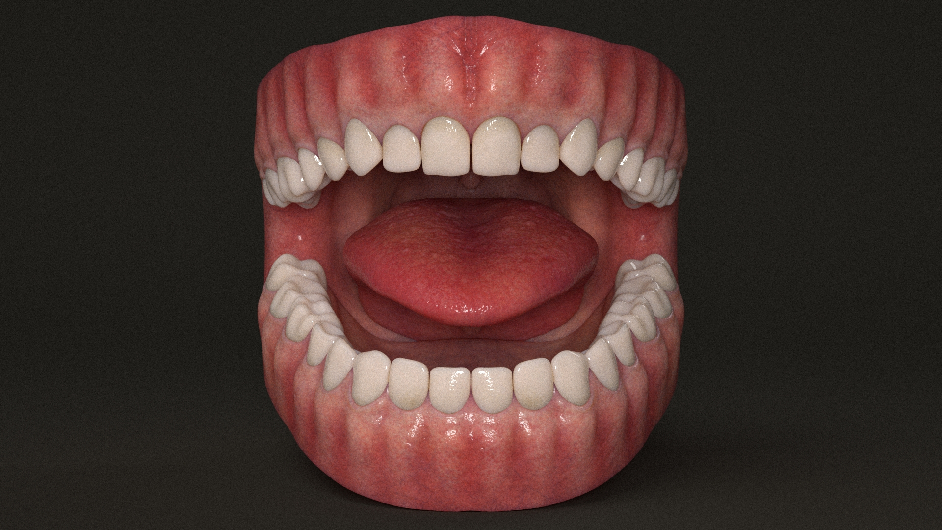 3D Human Mouth Teeth Anatomy Model - TurboSquid 2300912
