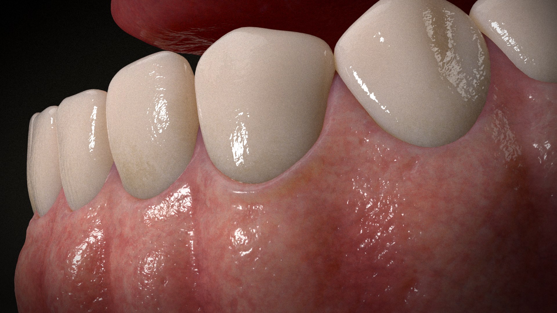 3D Human Mouth Teeth Anatomy Model - TurboSquid 2300912